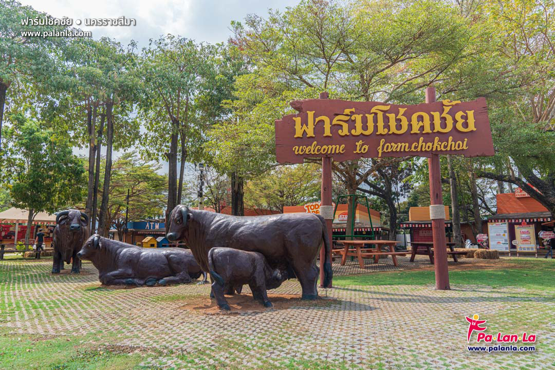 ฟาร์มโชคชัย จังหวัดนครราชสีมา ประเทศไทย - เพื่อนที่จะพาคุณไปสัมผัสมุมสวยๆ ของทุกสถานที่ท่อง ...